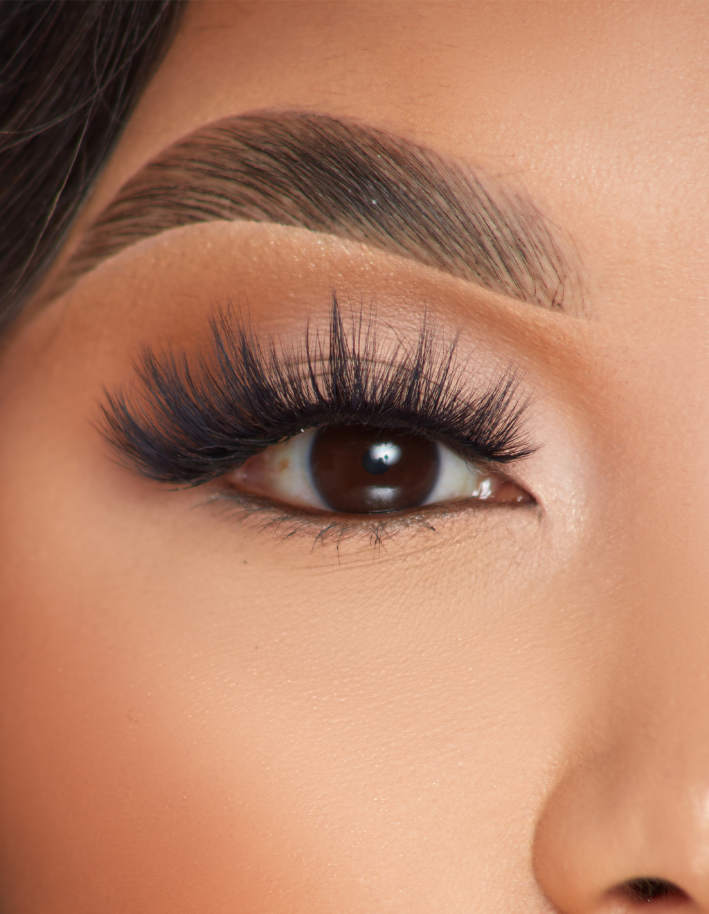 P.Louise Mega Mood Mega Lashes – P. Louise Cosmetics